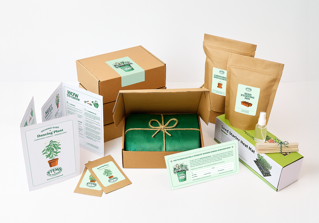 SPRING WONDER BOXES – The Stems Project